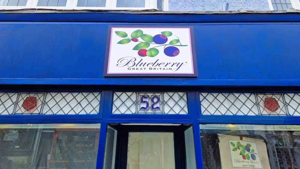 Shop Fascia Panel For Blueberry London