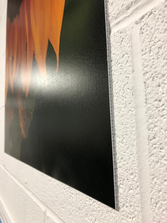 New Product! The Eco-Friendly Printed ‘Triaprint’ Polypropylene Board